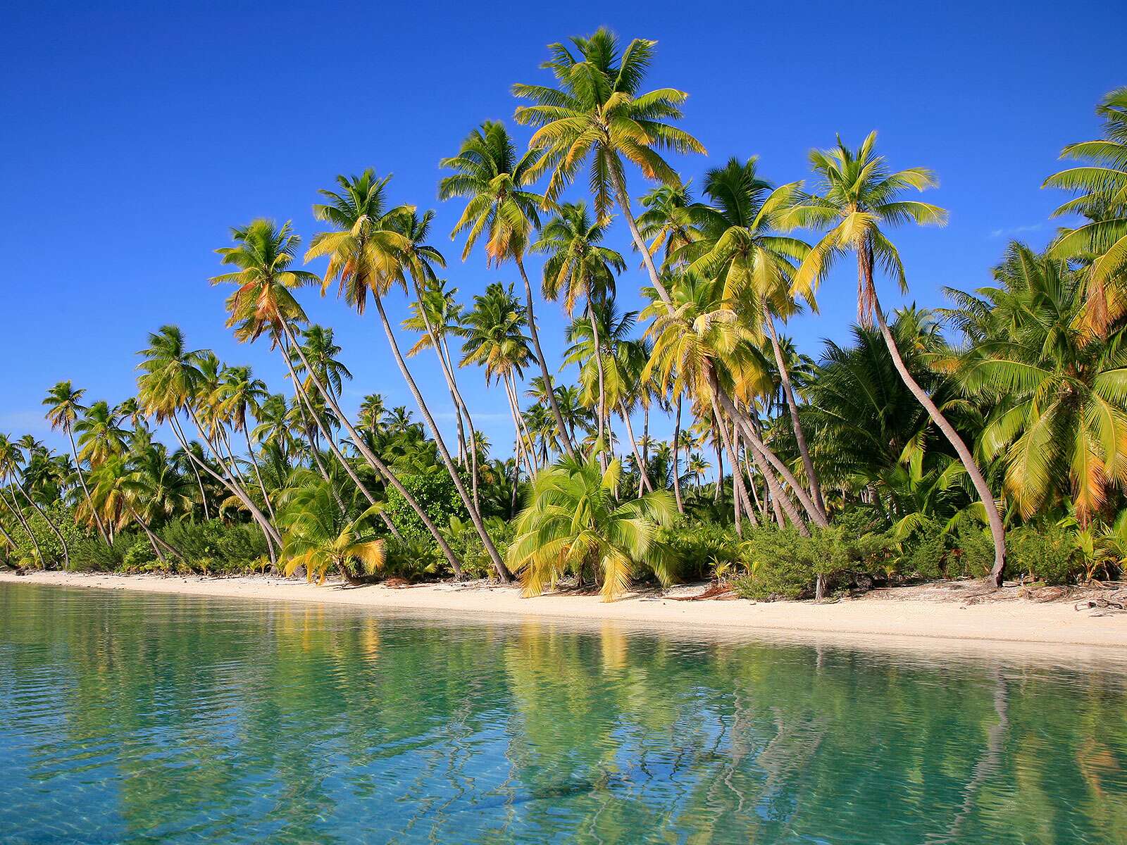 Fakarava réserve de biosphère - Tuamotu - Fond d'écran et images gratuites
