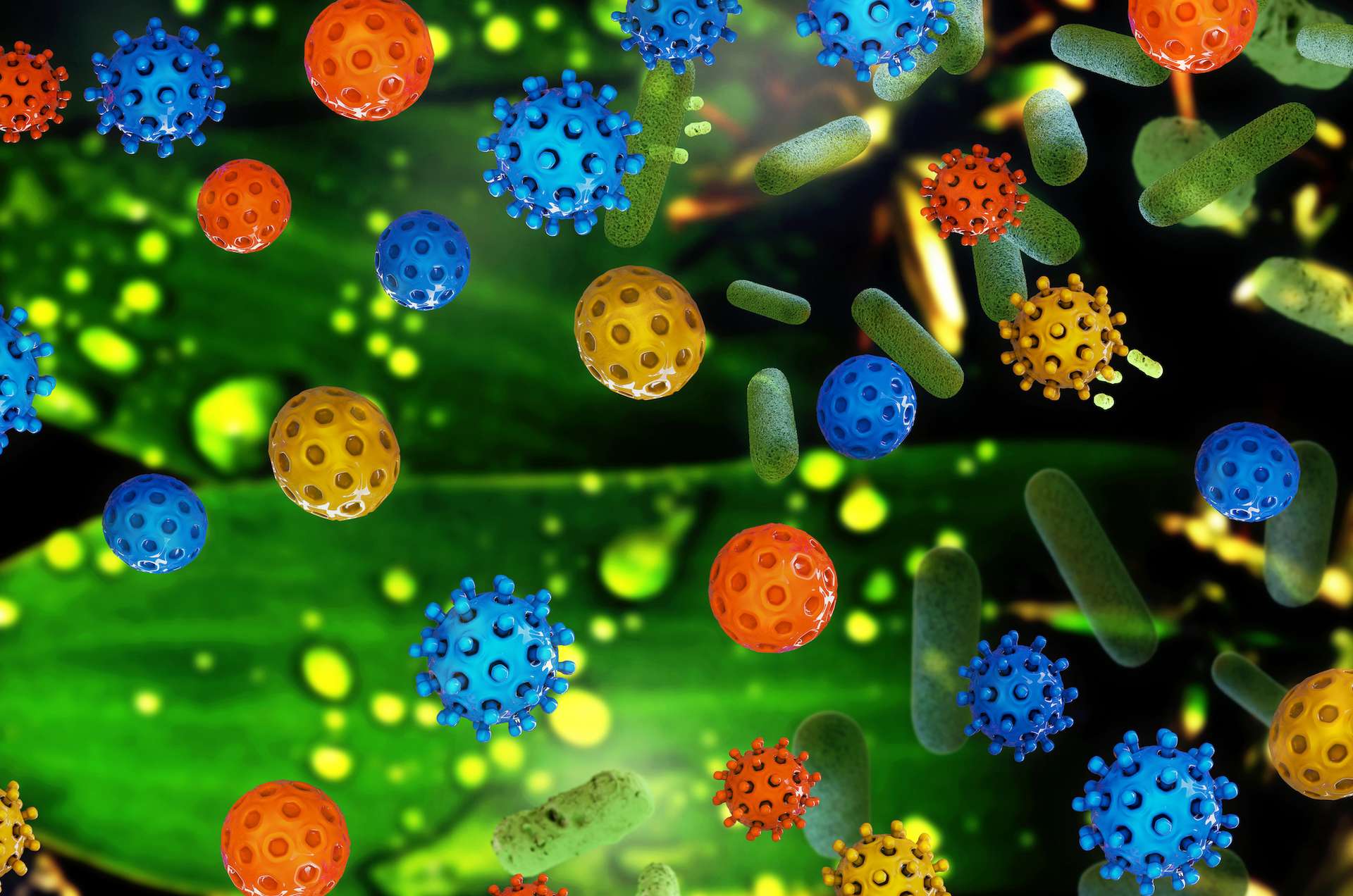 Dans le monde des bactéries, l'évolution se fait aussi par la collaboration