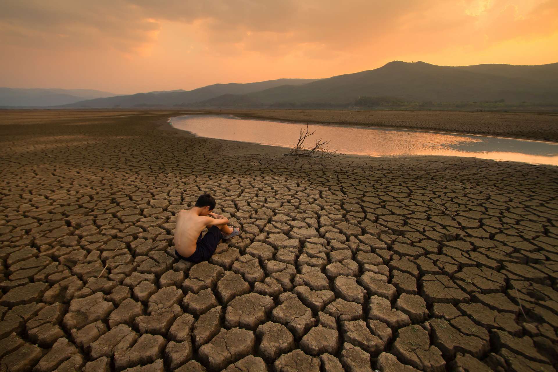 Des actions globales pour s'adapter au réchauffement climatique, plutôt ...
