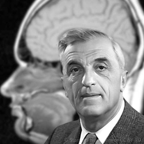 Felix Bloch's Instagram, Twitter & Facebook on IDCrawl