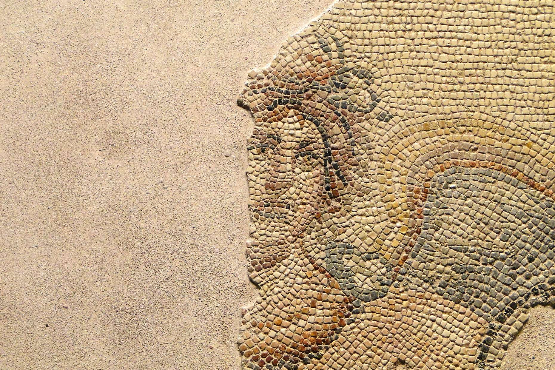 Zeugma à l'époque romaine tardive | Dossier