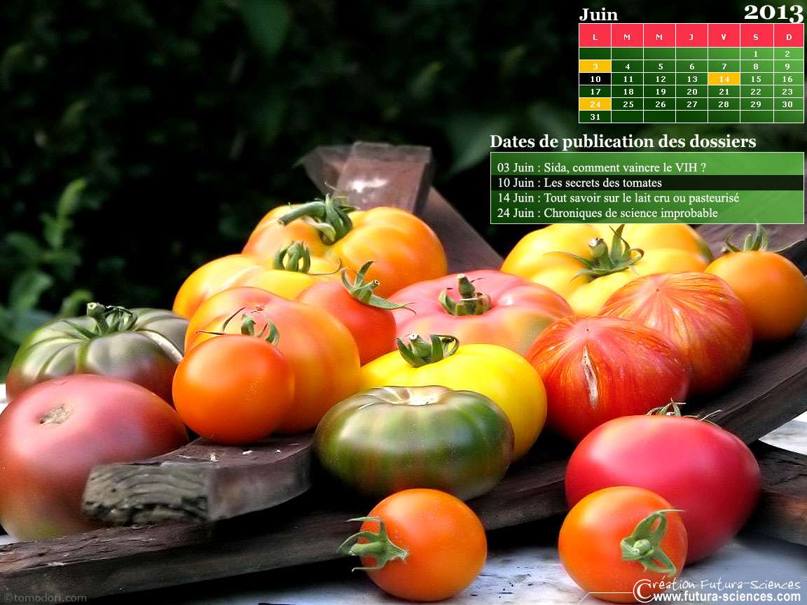 Calendrier : Juin 2013 - Fond d'écran et images gratuites
