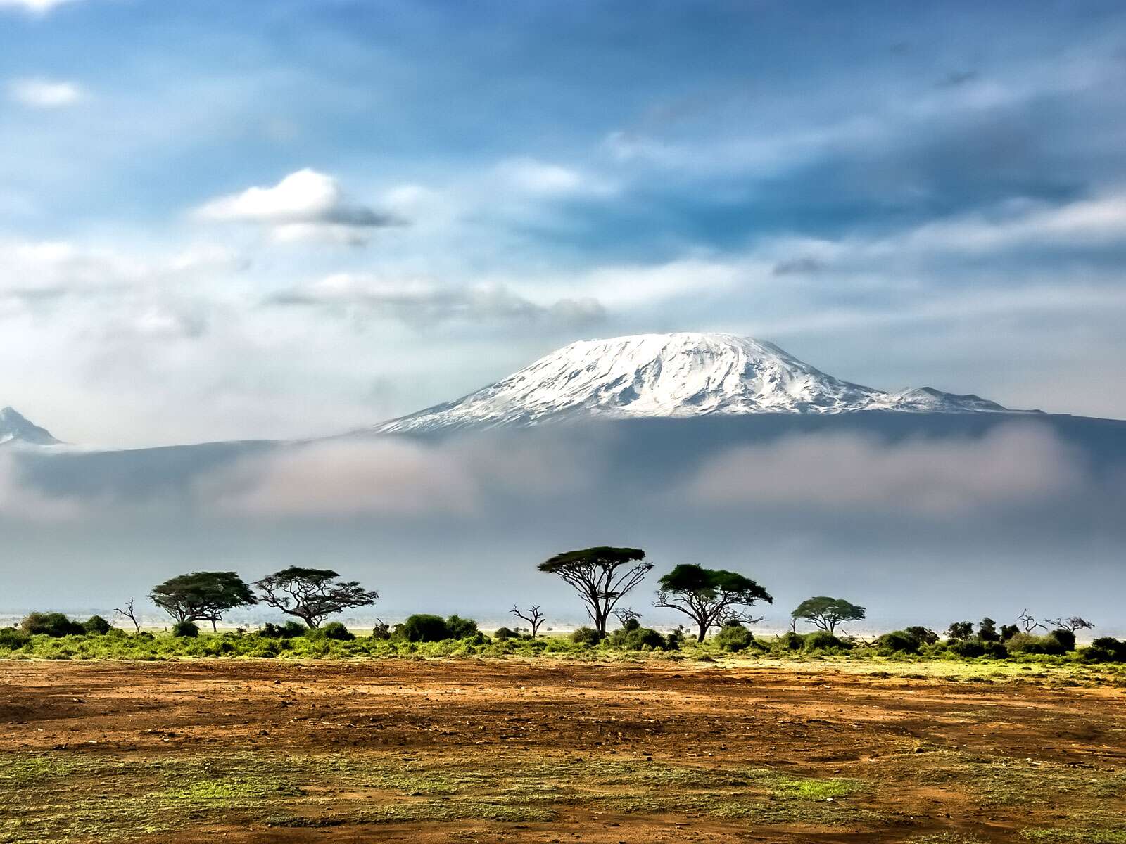Les Neiges Du Kilimanjaro Vues Depuis Le Parc National Amboseli Kenya les-neiges-du-kilimanjaro-vues-depuis-le-parc-national-amboseli-kenya