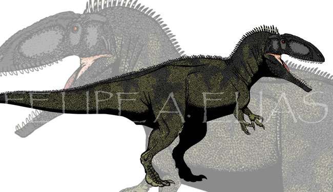 Mapusaurus roseae, l'un des plus grands théropodes