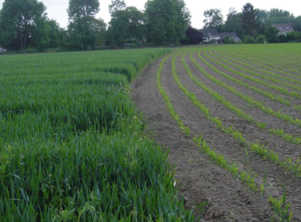 Qu’est-ce que l’érosion des sols ? | Dossier