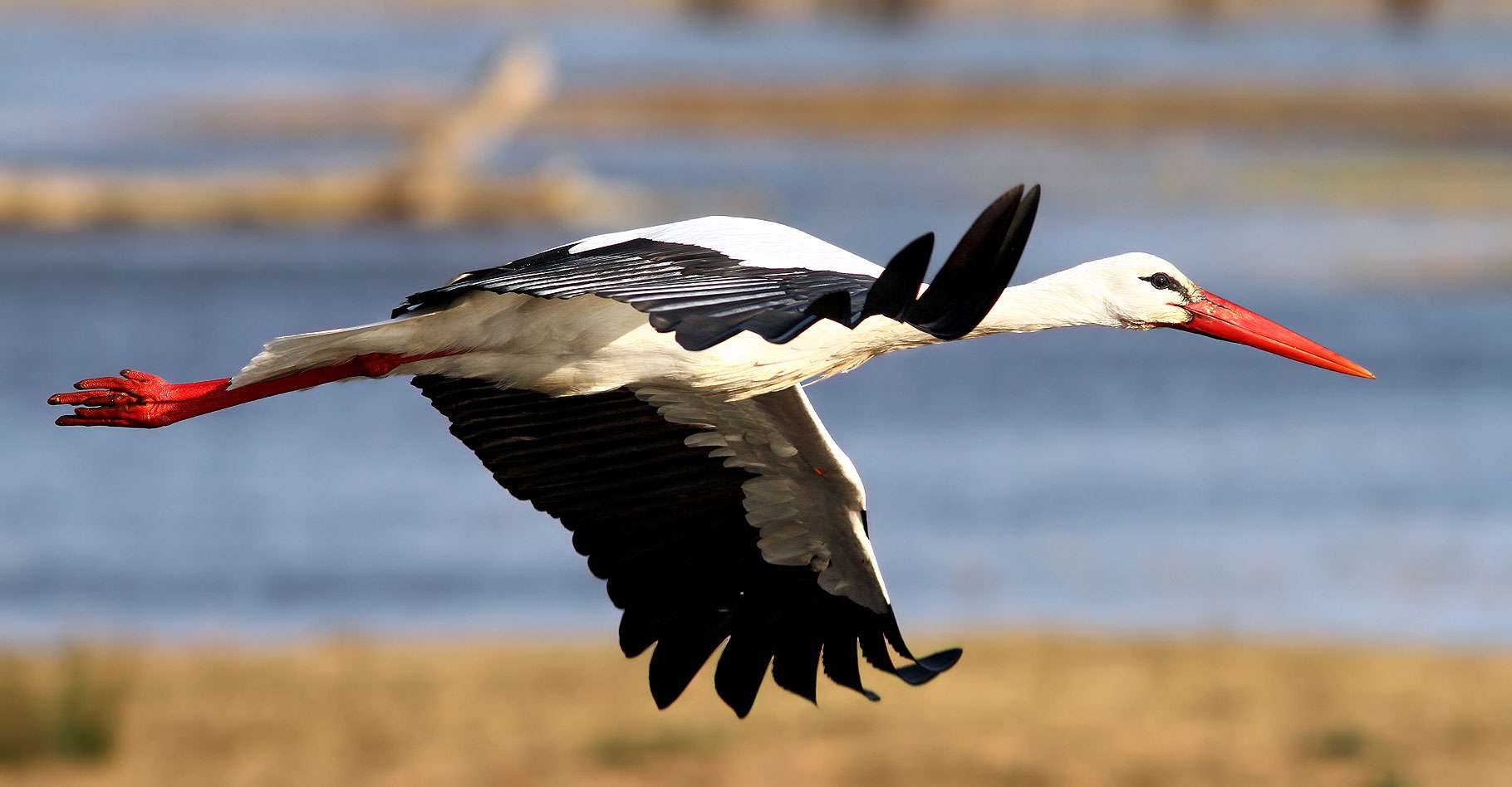 Introduction | Dossier