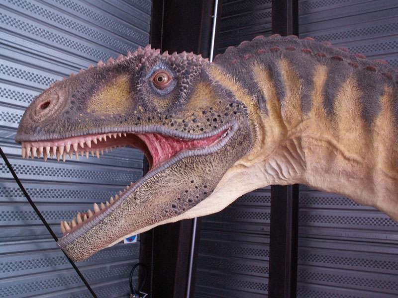 Tarascosaurus, un théropode du sud de la France