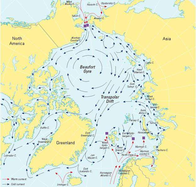 Définition | Gyre de Beaufort : dynamique, écologie et impact climatique