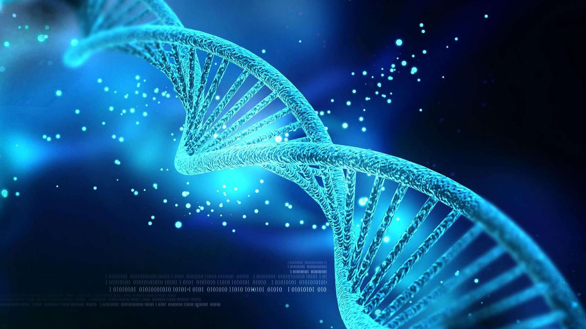 L'ADN dans tous ses états