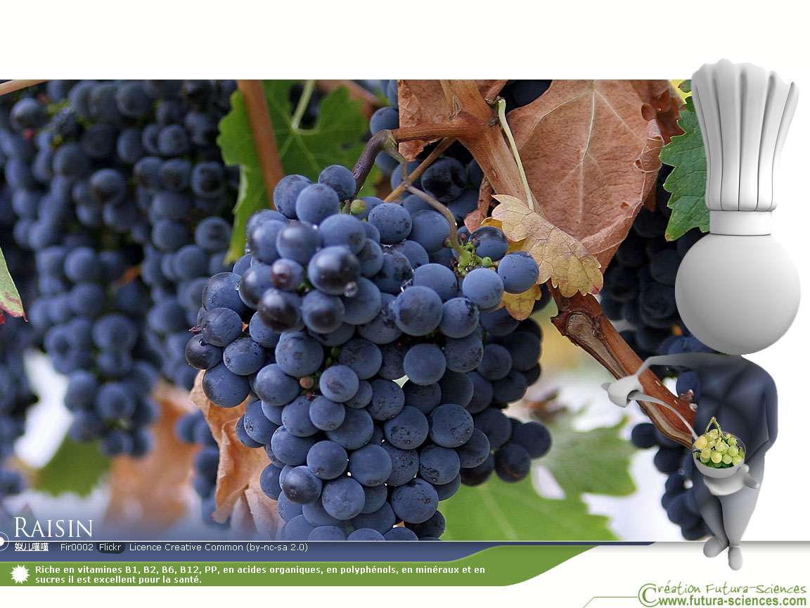 Raisin noir, riche en vitamines