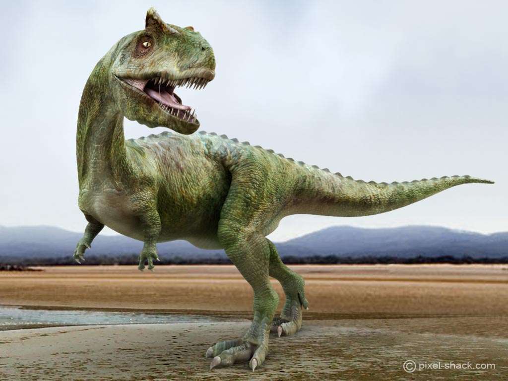 Le carnotaure, ou Carnotaurus - Photos Futura