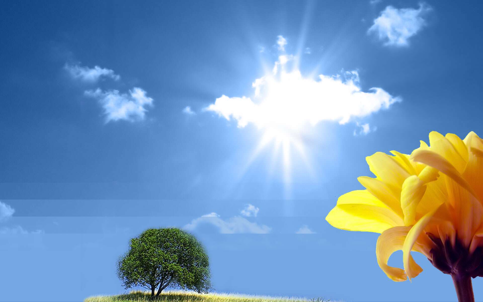 L'été arrive... - Fond d'écran et images gratuites