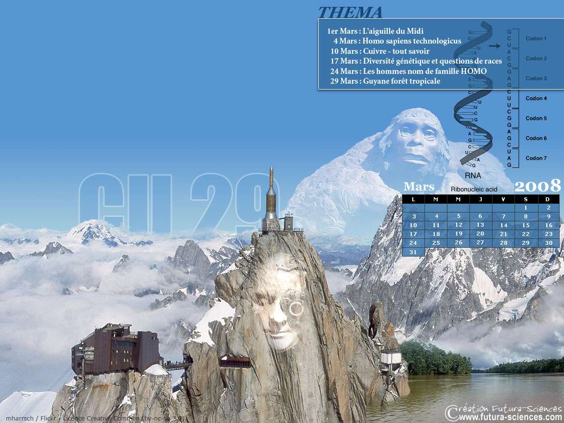 Calendrier Mars 2008 - Fond d'écran et images gratuites
