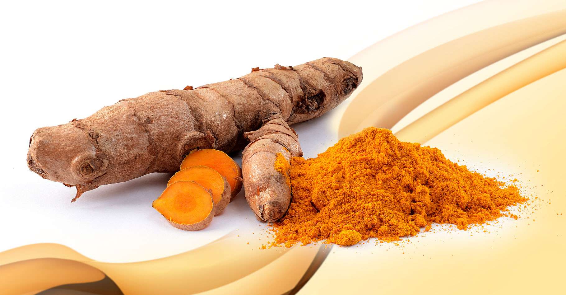 Lexique botanique des Saramaka (pao, maka, piki…) | Dossier