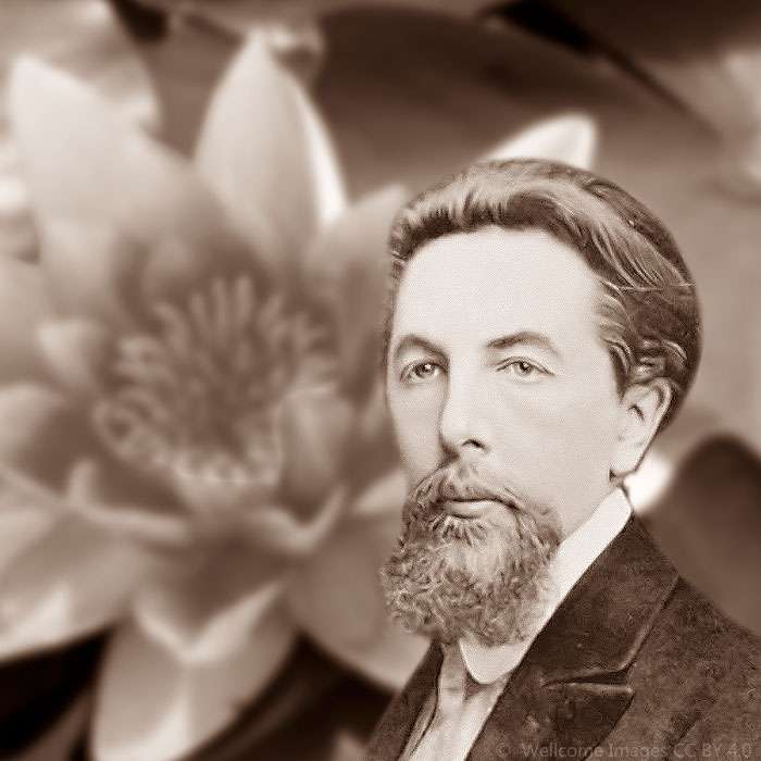 Biographie | Mikhail Semenovich Tswett - Botaniste | Futura Sciences