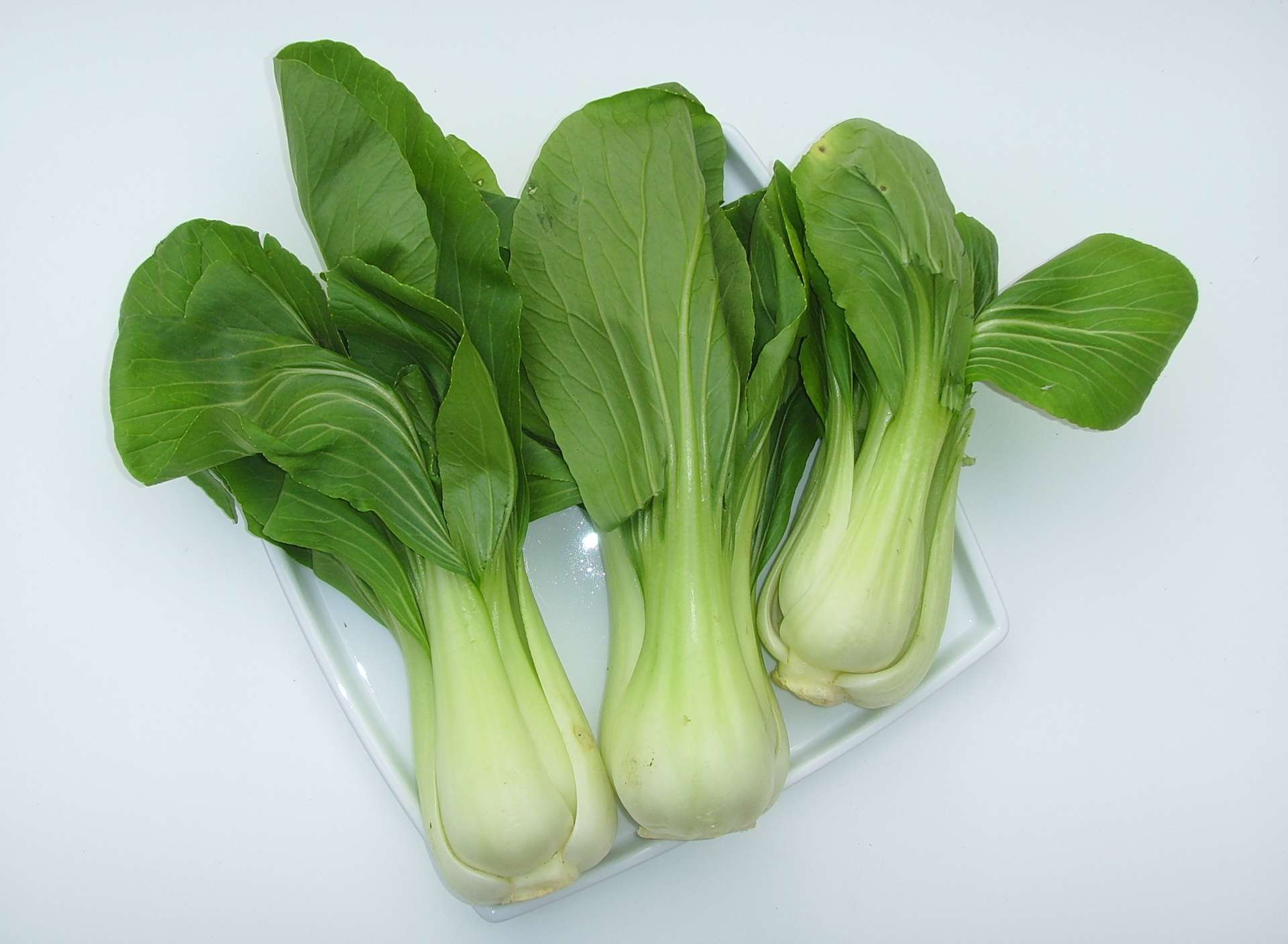 Définition | Bok choy - Chou de Chine - Pak choy