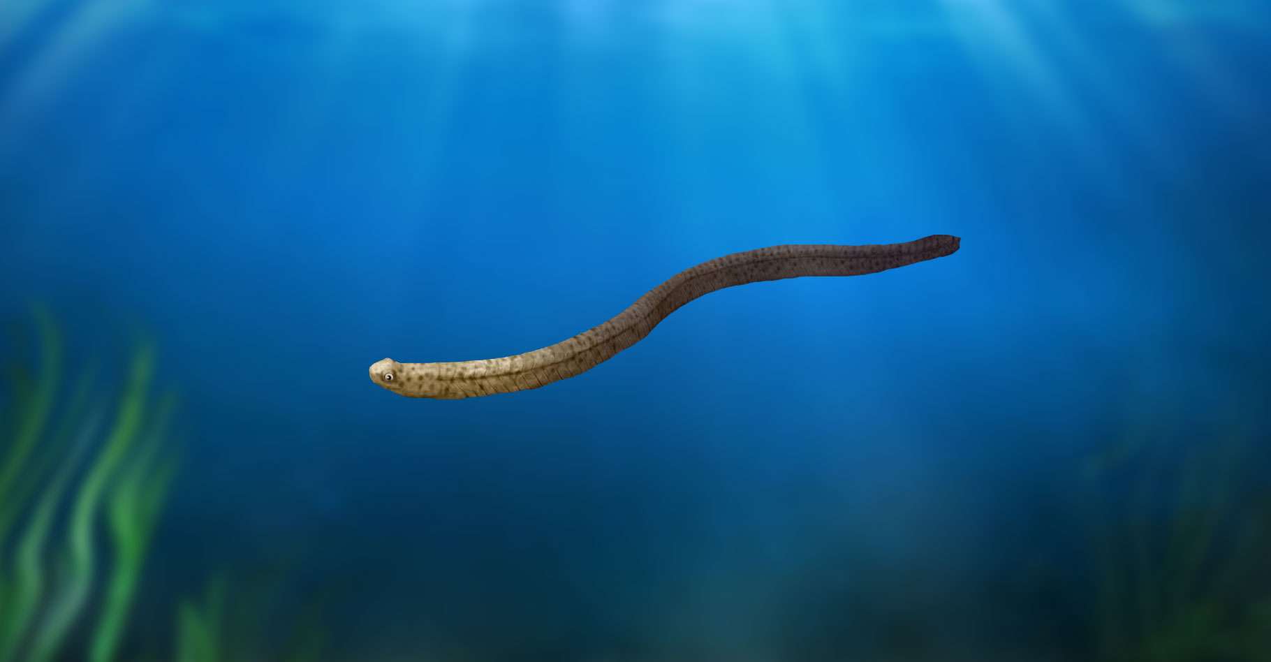 Introduction : explosion cambrienne et processus évolutif du monde ...