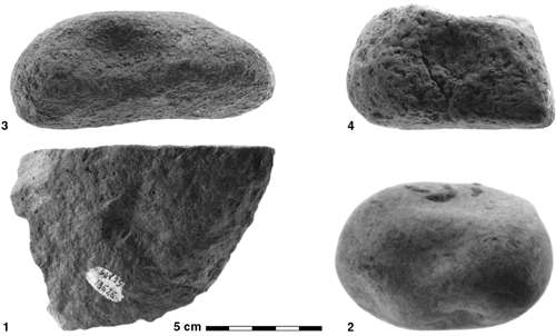 Découverte du feu : elle daterait de 790 000 ans