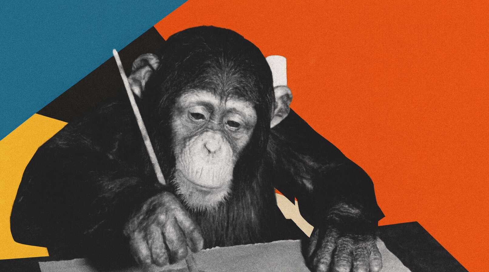 L’incroyable histoire du singe peintre qui a conquis le cœur de Picasso ...