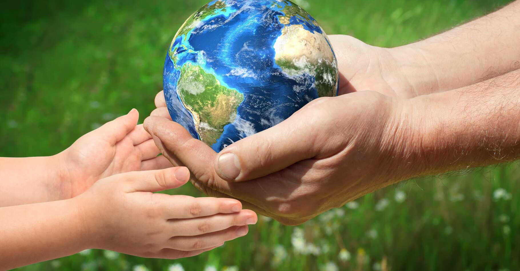 Définition | Écologie Définition | Écologie