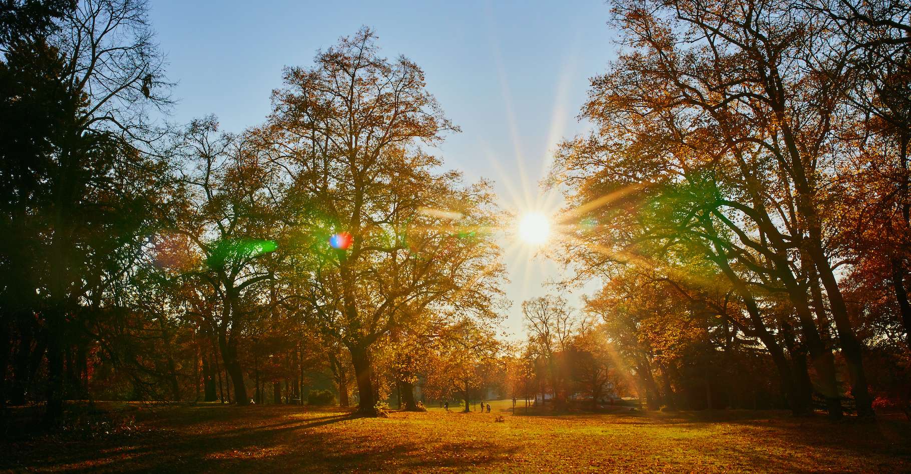 Réchauffement climatique en France : octobre a été sec et ensoleillé ...