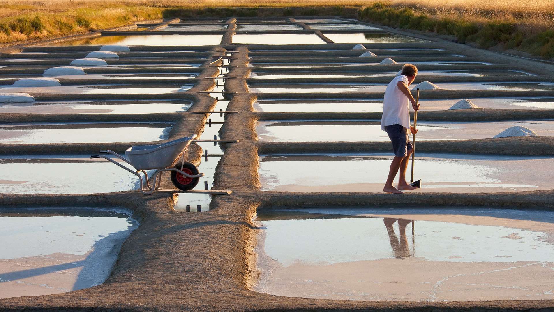 Des marais salants sur une île - Photos Futura