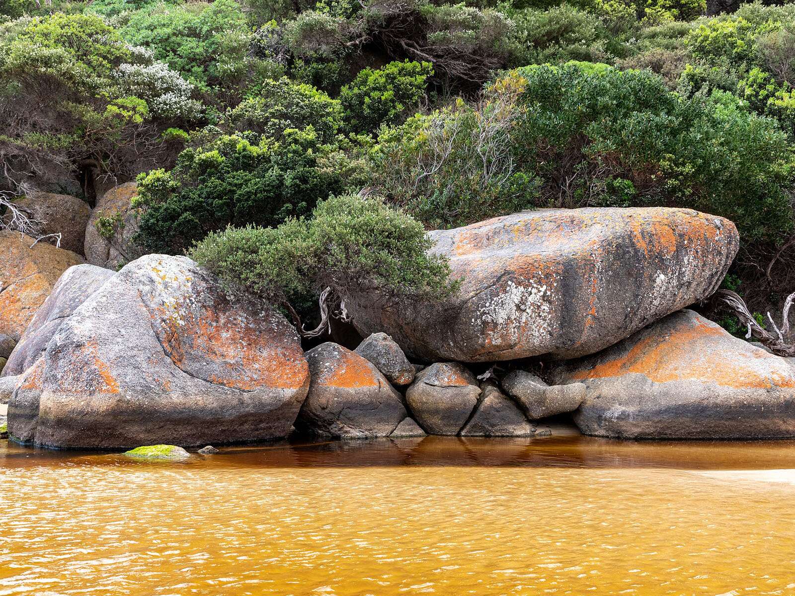 Voyage au « Wilsons Promontory National Park » Australie