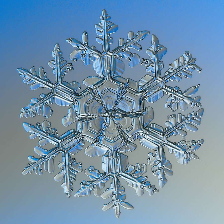 Flocons De Neige
