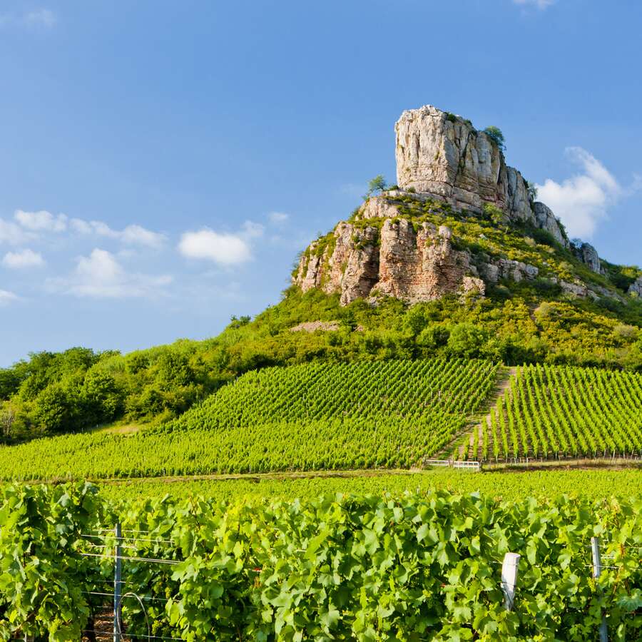 Bourgogne | Futura Planète