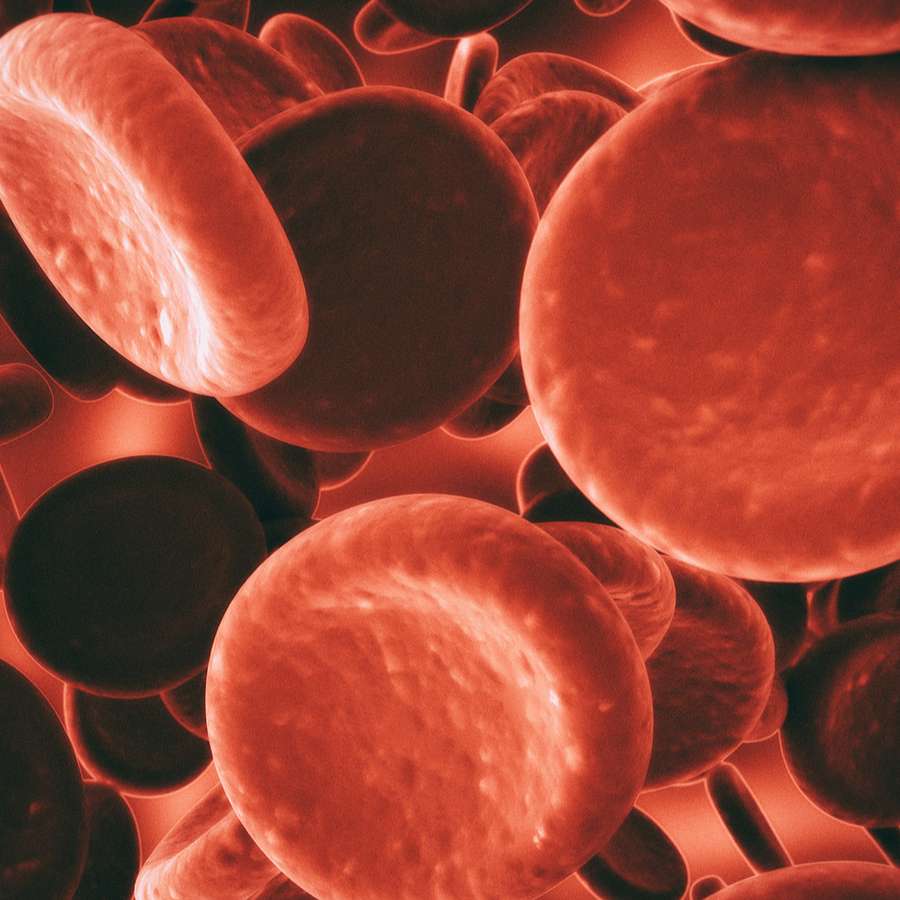 Les Actualités Cancer du sang | Futura Santé