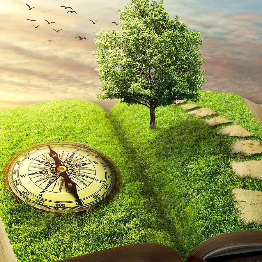 Sagesse | Futura Sciences