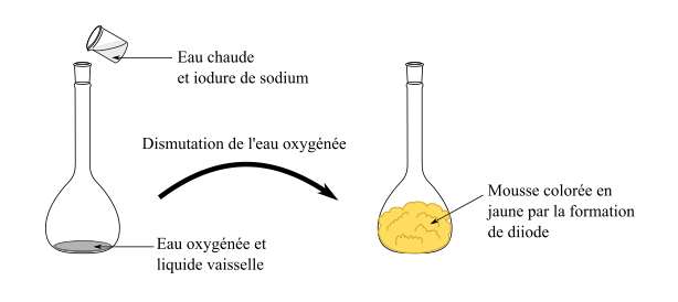 Vidéo | Le dentifrice de l'éléphant : les incroyables expériences de chimie