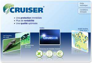 L'insecticide Cruiser : une menace de plus pour les abeilles