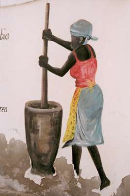 La production du mil en Afrique et en Asie | Dossier