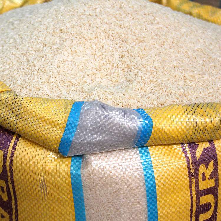 Origine du riz et histoire : d'où vient le riz ? | Dossier