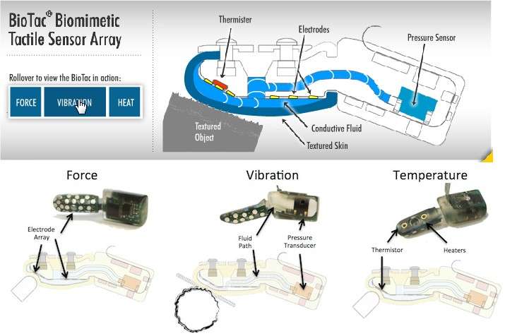 BioTac, le capteur qui reproduit le sens du toucher