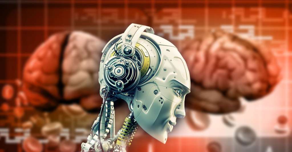 Le « cerveau » des robots : réseau neuronal et évolutionnisme | Dossier