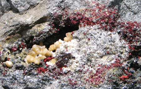 Découvrir le métal | Dossier