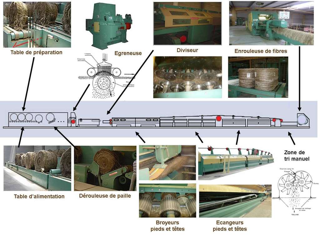 Du lin cultivé à la laine de lin | Dossier