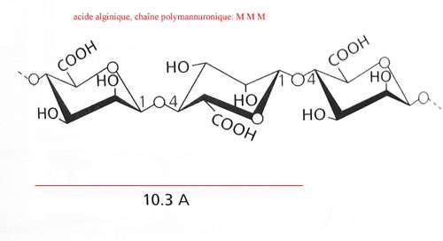 Produits à base d'algues : agar-agar, carraghénane... | Dossier