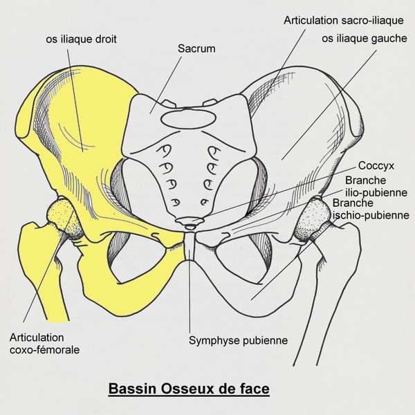 Une autogreffe osseuse sauve une patiente atteinte d'un cancer