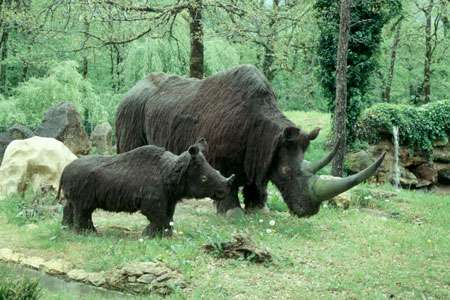 Qu'est ce que la biodiversité ? | Dossier