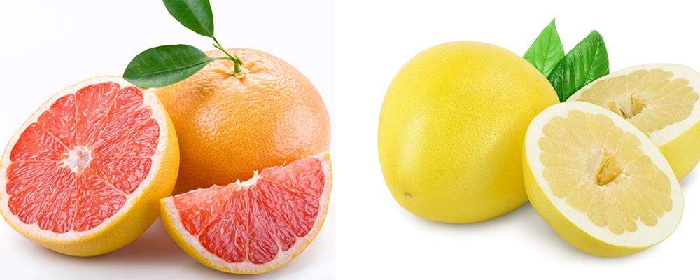 Définition | Pamplemousse | Futura Planète