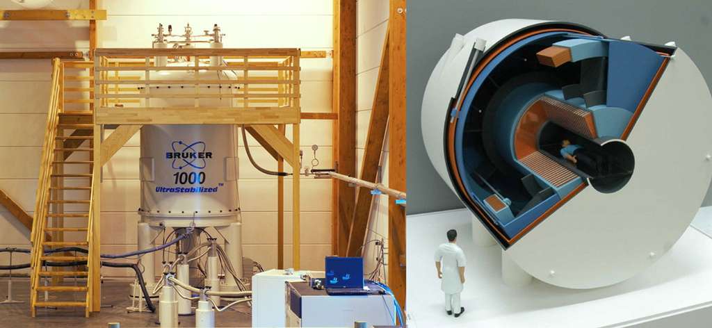 RMN, tout sur la résonance magnétique nucléaire | Dossier