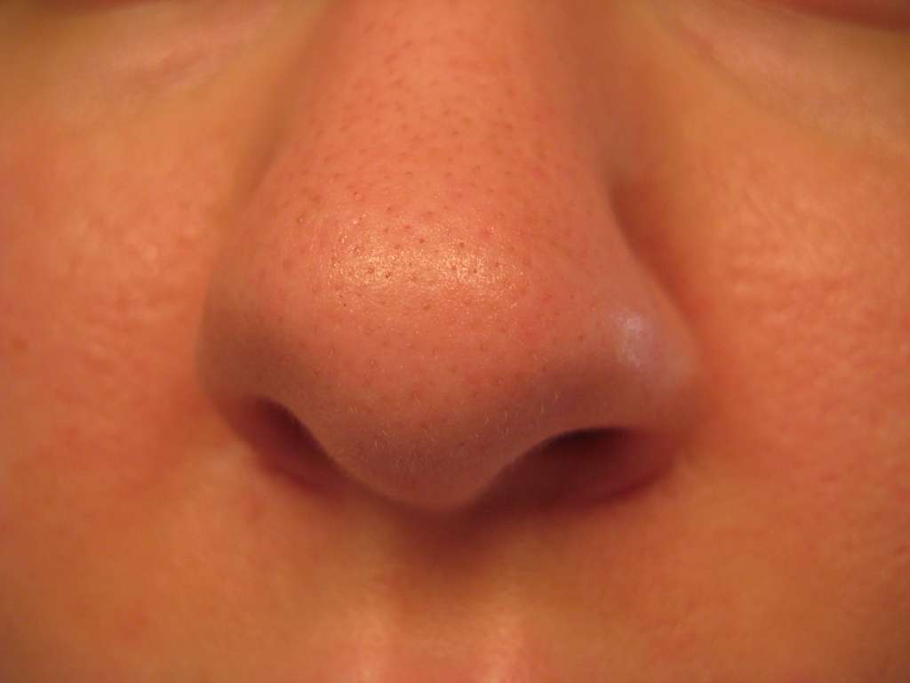 Pourquoi les hommes ont-ils un plus grand nez que les femmes