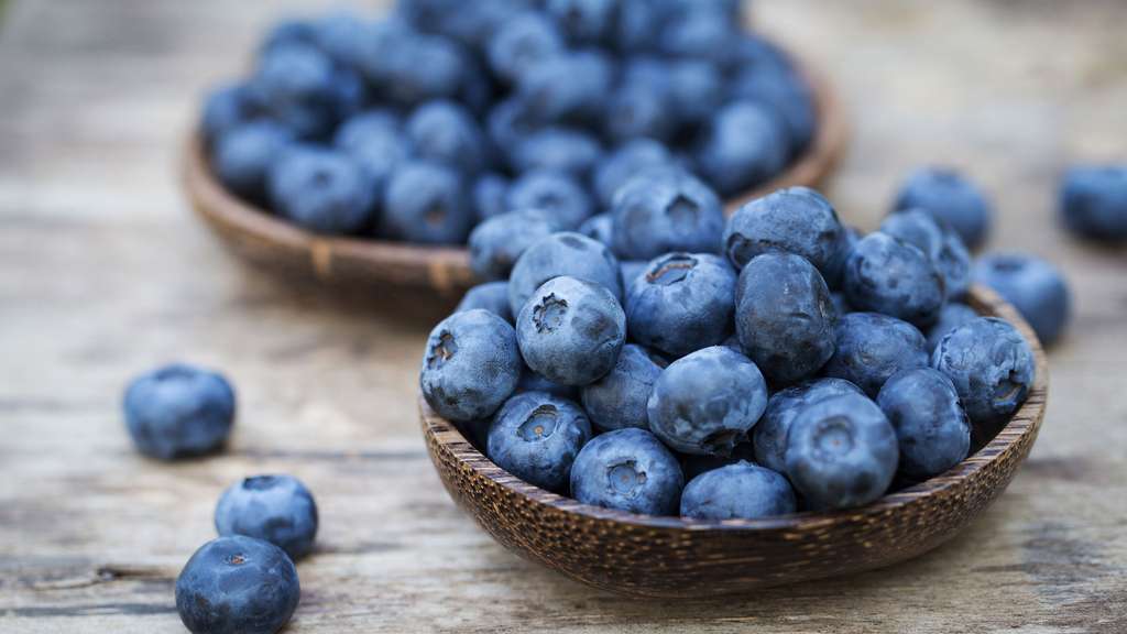 Myrtille : le myrtillier et ses variétés | Dossier