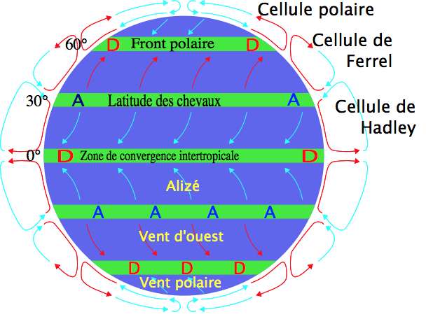 Définition | Alizés | Futura Planète