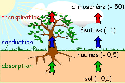 Introduction | Dossier