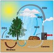 Dossier : la biomasse pour le chauffage, une énergie verte