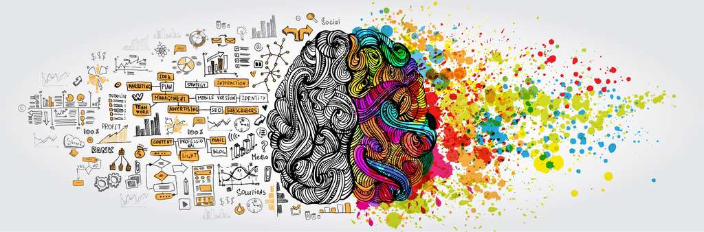 Dessin Du Cerveau Gauche De Wgkta 6+ Thousand Cerveau Gauche Droit